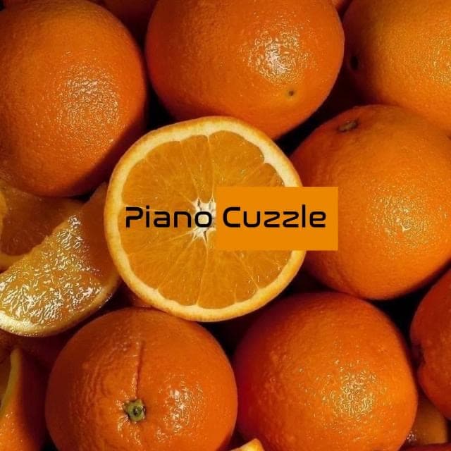 Explore Events - ZimTickets